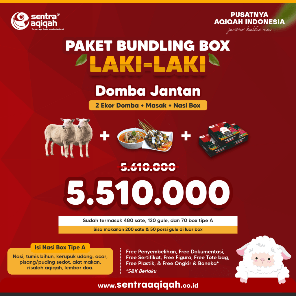 Paket 100 Box Domba Jantan - Sentra Aqiqah