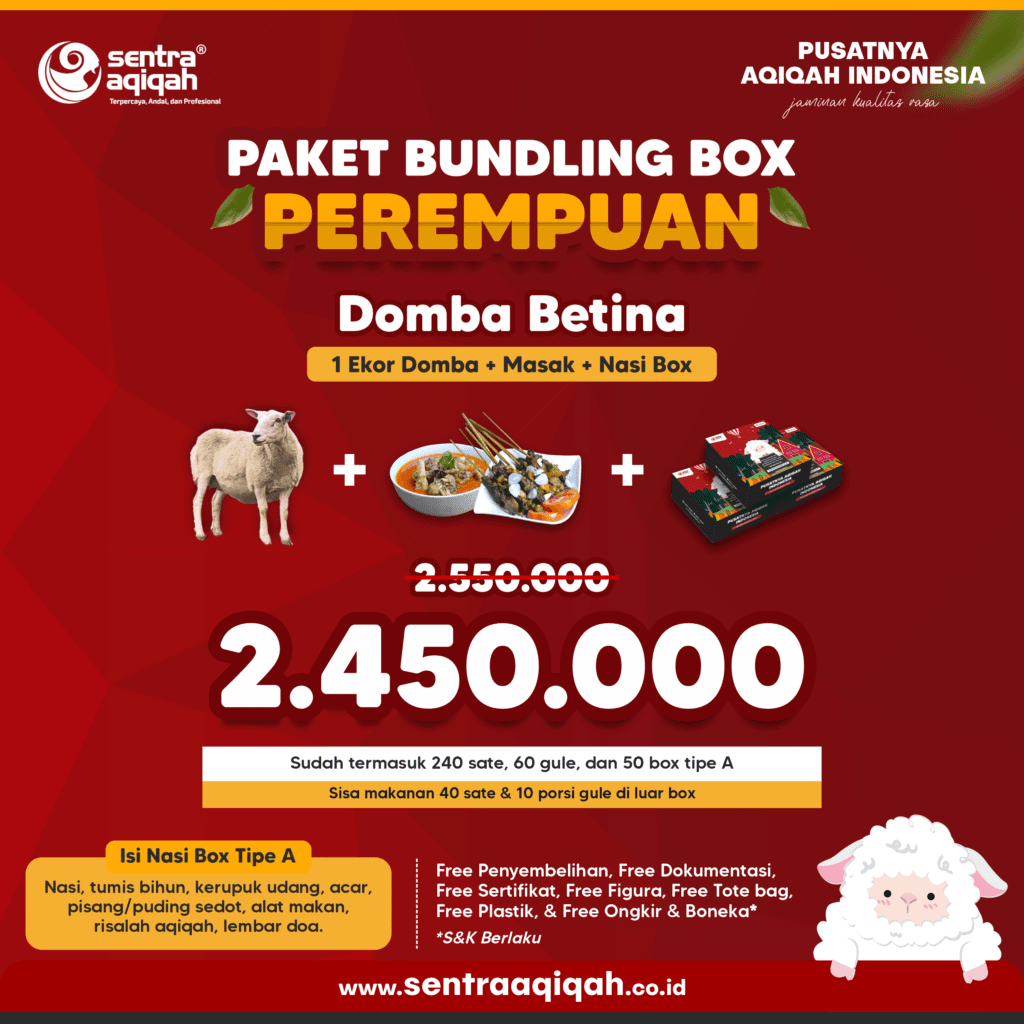 Paket Bundling Box Anak Perempuan Archives - Sentra Aqiqah
