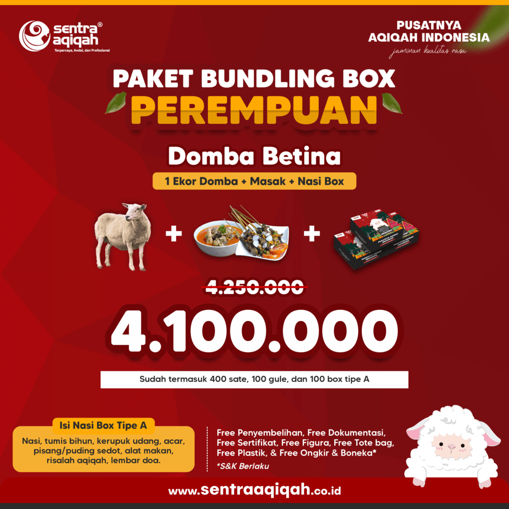 Paket Bundling Box Anak Perempuan Archives - Sentra Aqiqah